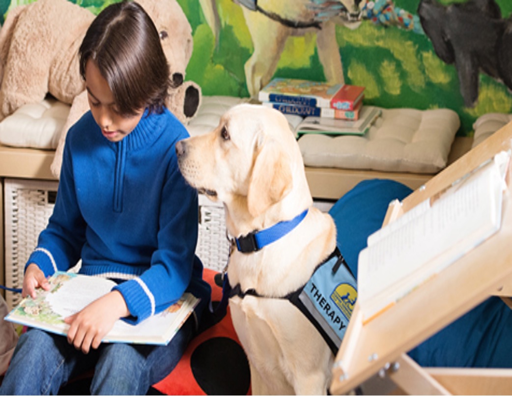 All Dogs Go to School: A Proposed Maryland Law Would Permit Therapy ...